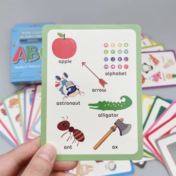customized logo Wipe-clean Flash Cards Alphabets Cards for Kids Reading ...